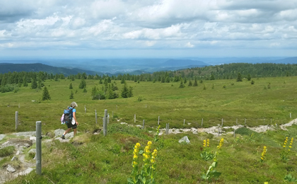 GR5 route | Alles over deze avontuurlijke route | SNP